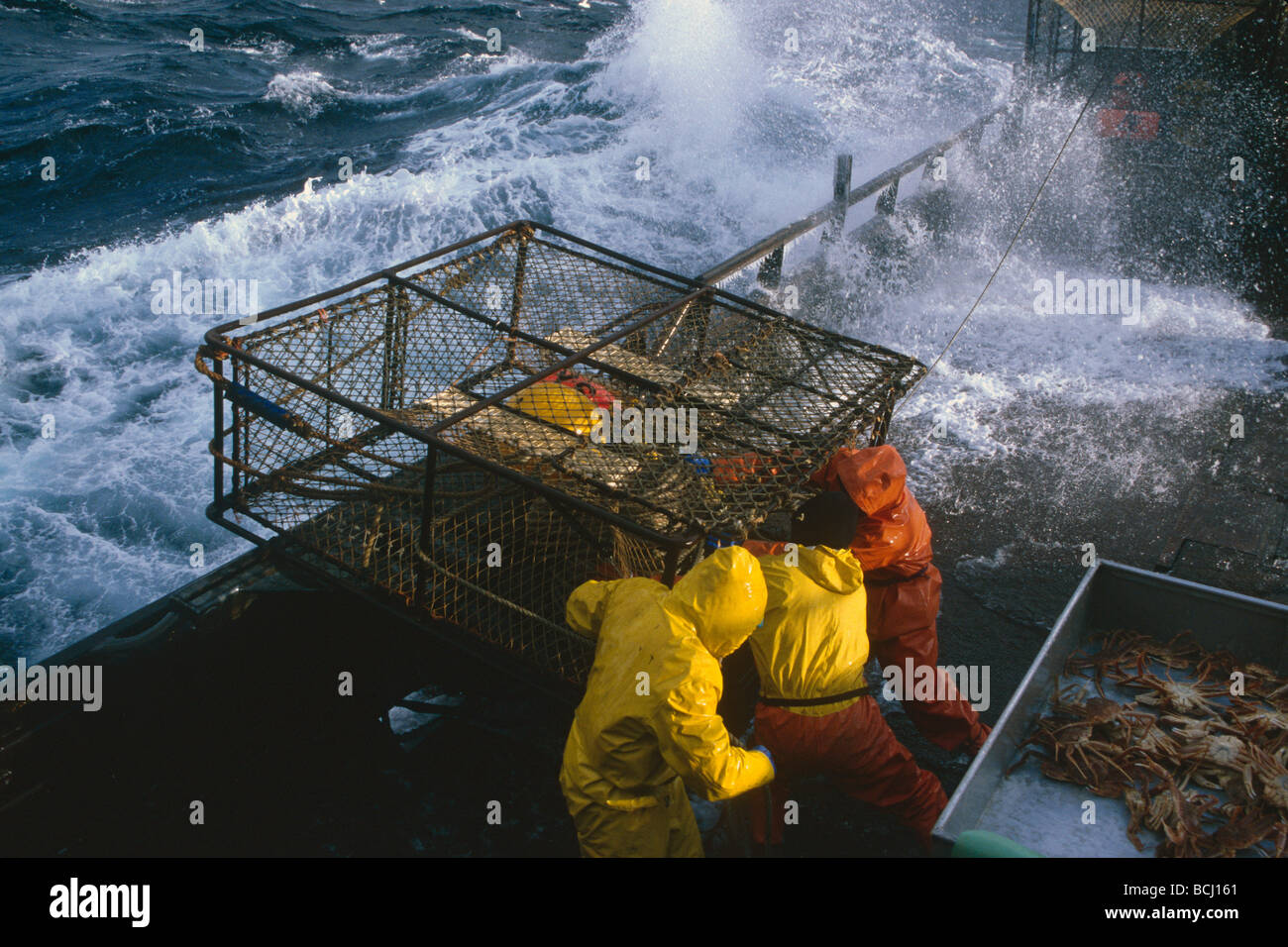 Crabe commercial travail de crabier homme de travail bateau Banque de ...