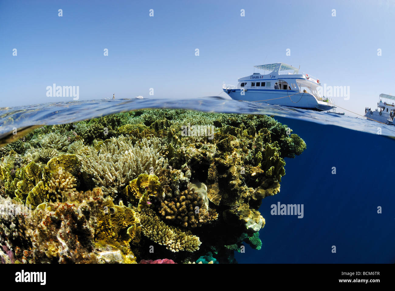 Scuba diving boat Banque de photographies et d’images à haute ...