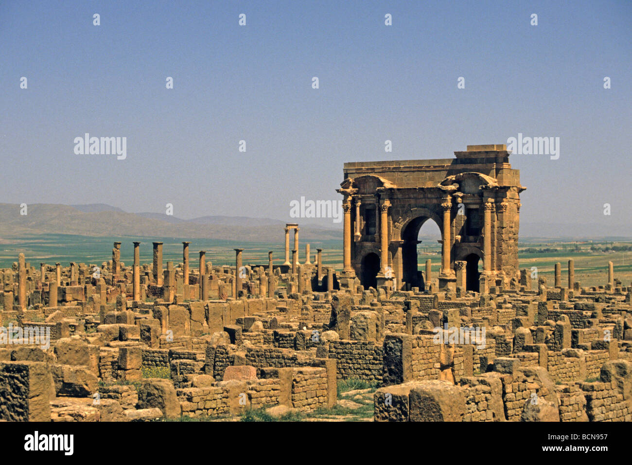 Timgad algeria arabe Banque de photographies et d’images à haute ...