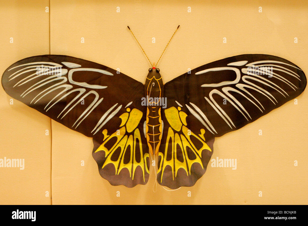 Cerf Volant Papillon