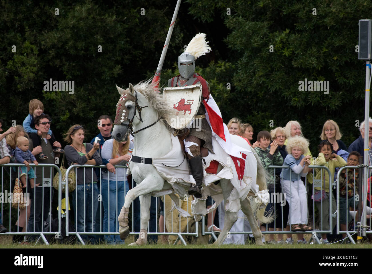 Chevalier blanc Banque de photographies et d’images à haute résolution ...