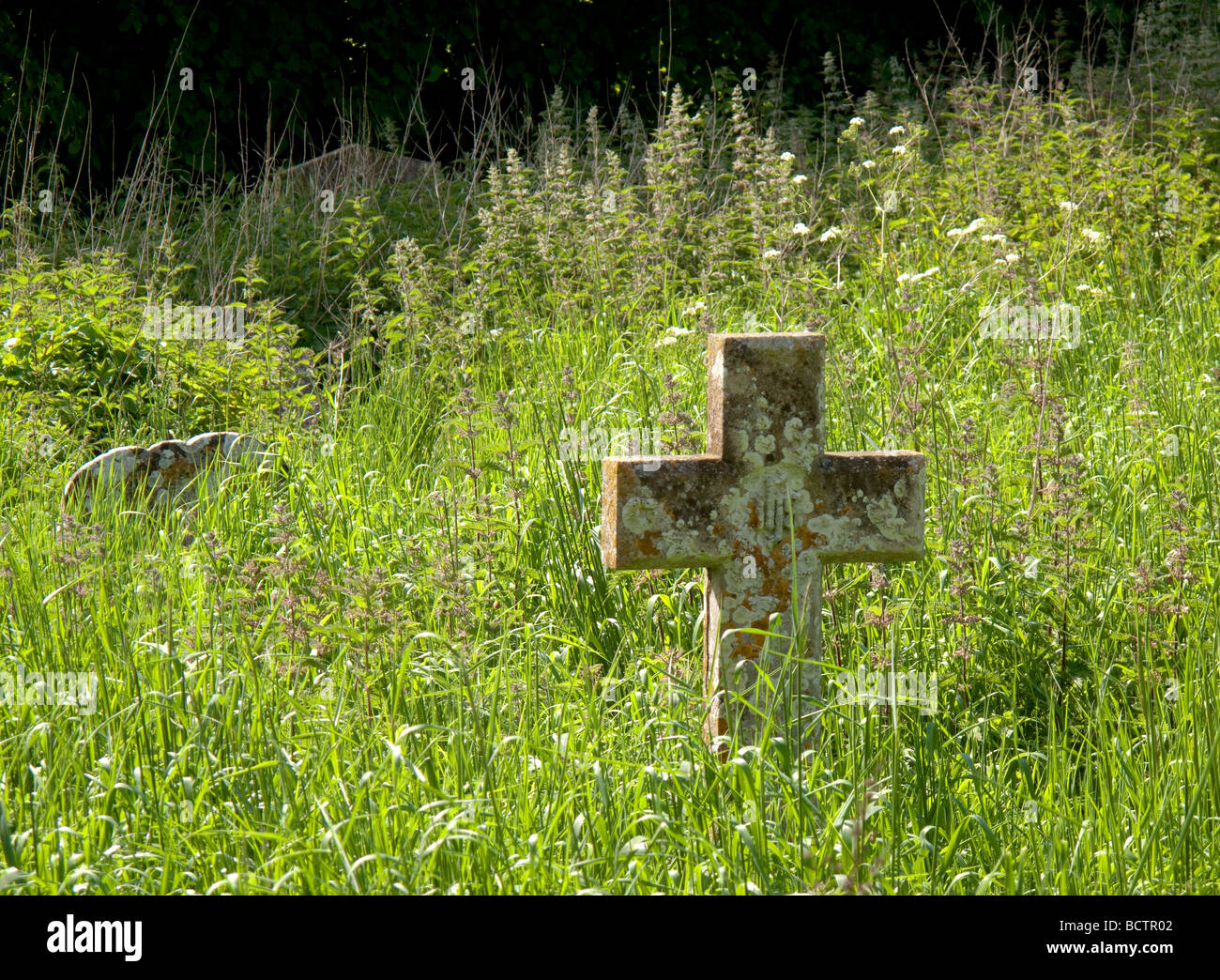 Pierres tombales et fleurs sauvages Banque de photographies et d’images ...