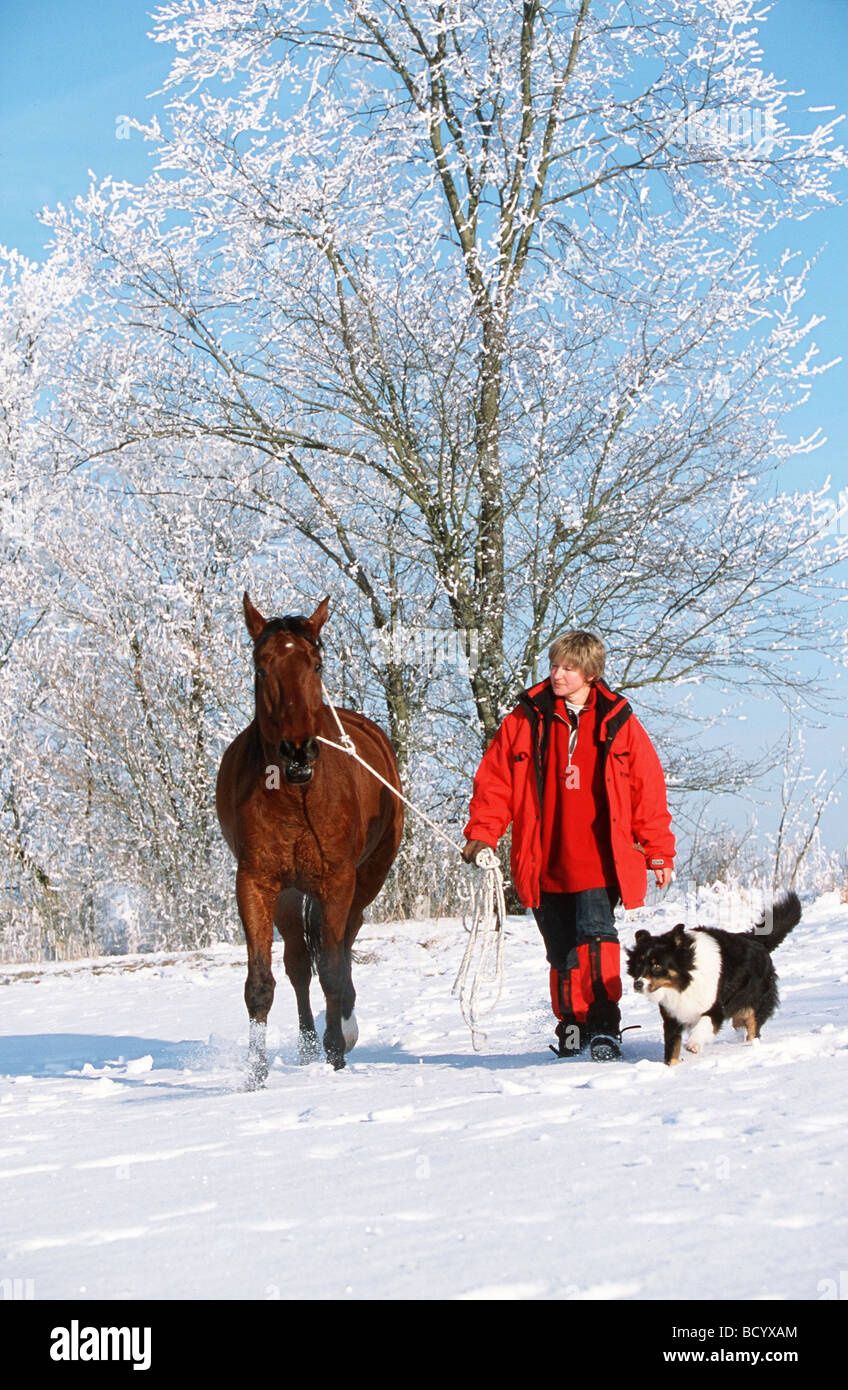 Cheval femmes Banque de photographies et d’images à haute résolution ...