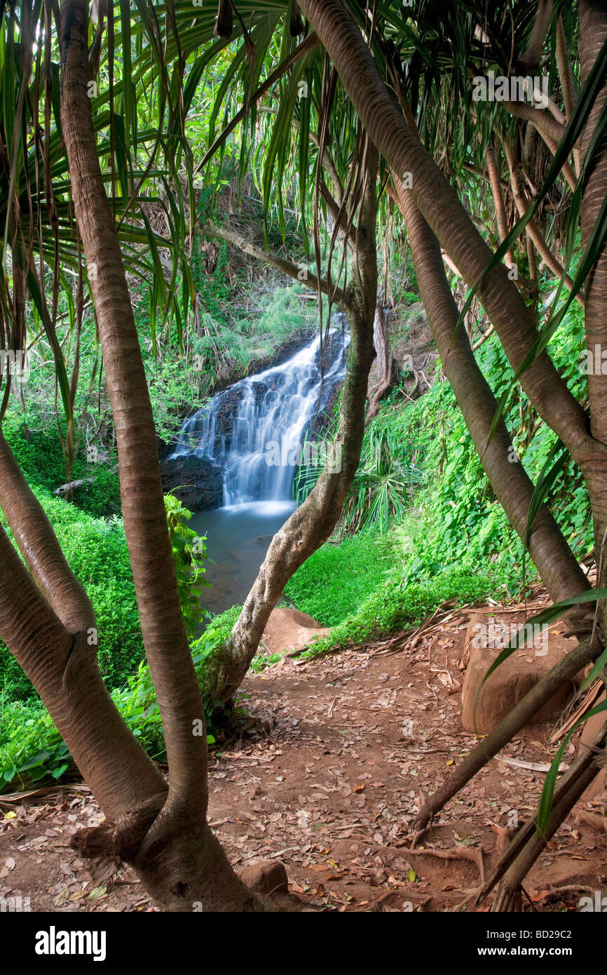 La cascade de la reine Banque de photographies et d’images à haute ...