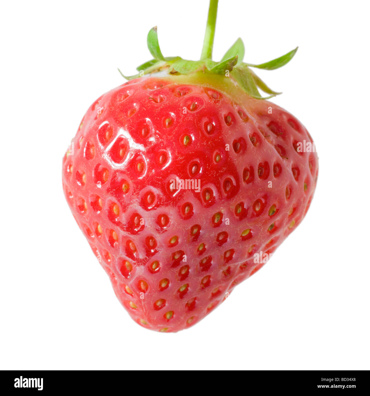 Fraise Banque de photographies et d’images à haute résolution - Alamy
