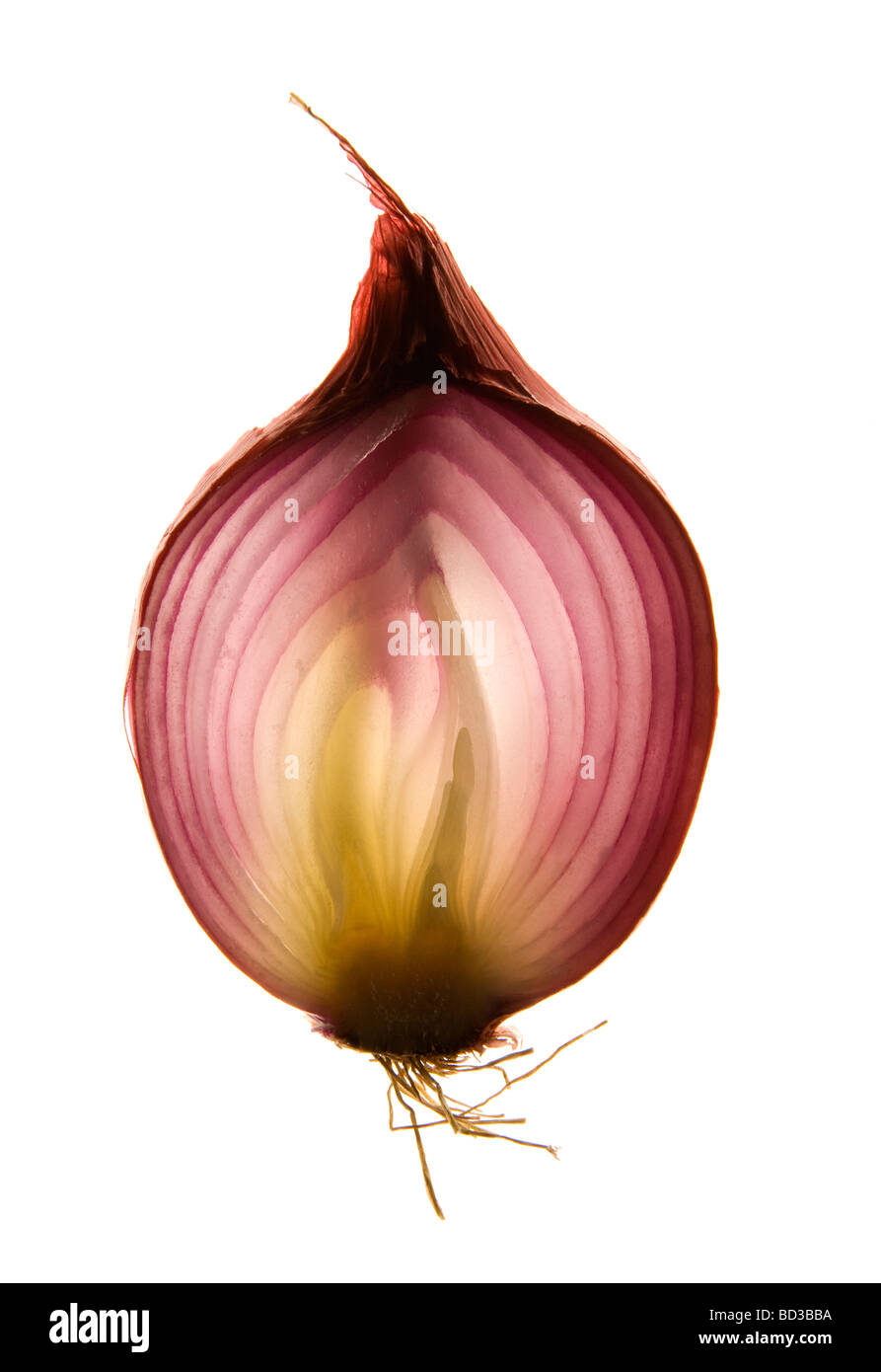 Tranche d'oignon rouge Banque de photographies et d’images à haute ...