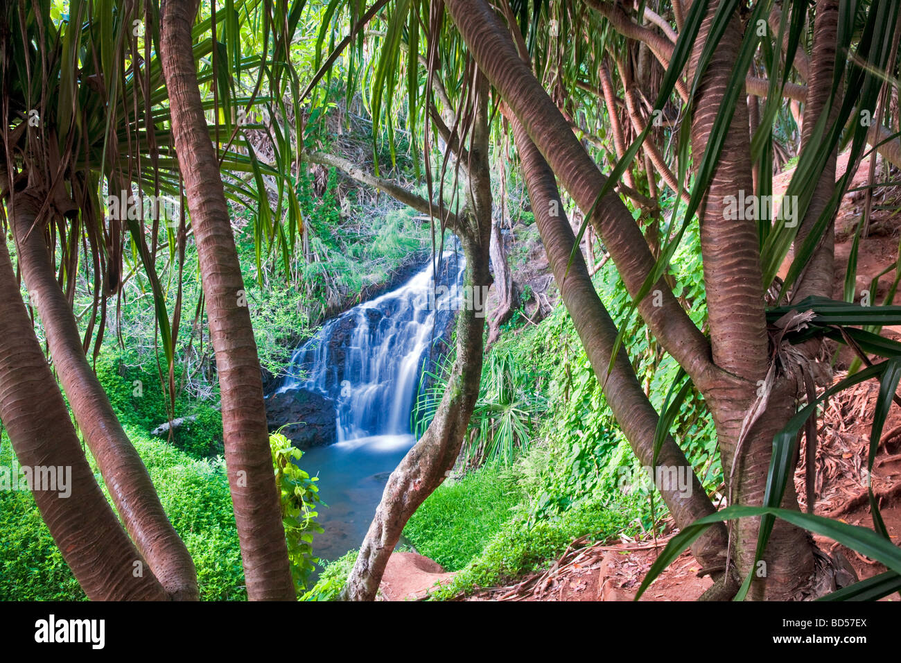 La cascade de la reine Banque de photographies et d’images à haute ...