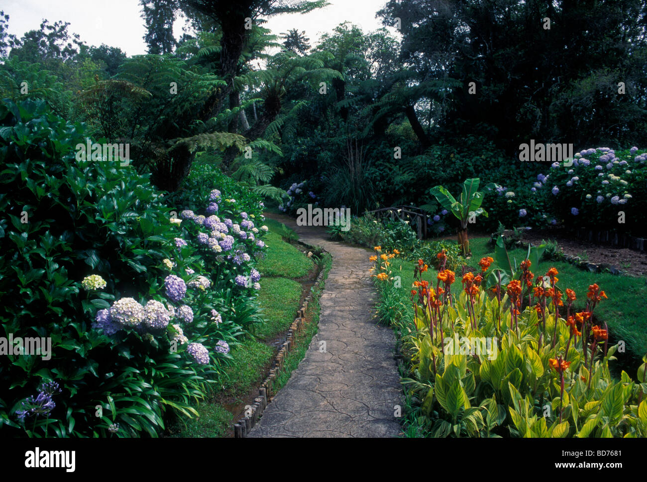 Vumba botanic gardens Banque de photographies et d’images à haute ...