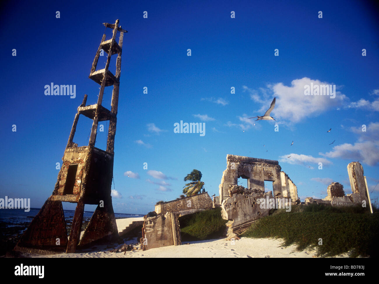 Atol das rocas Banque de photographies et d’images à haute résolution ...