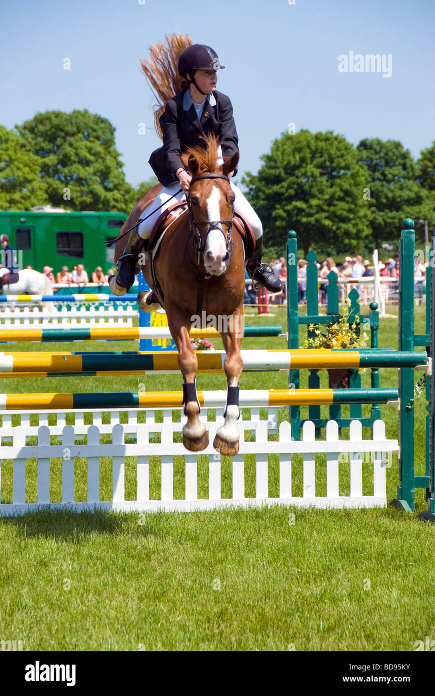 Cheval et cavalier sautant Banque de photographies et d’images à haute ...