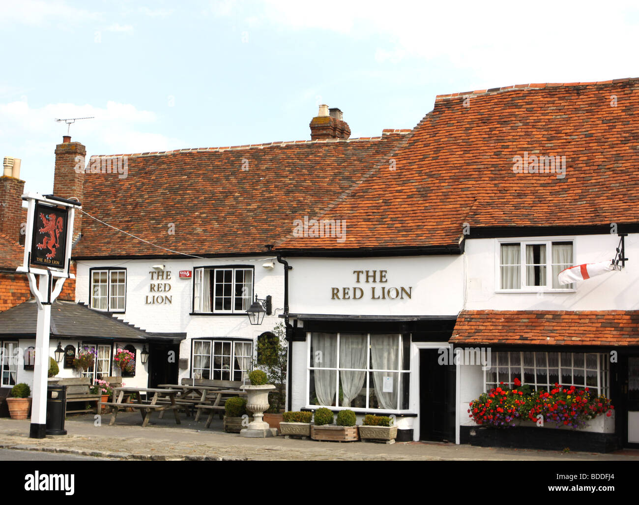 Lion ales Banque de photographies et d’images à haute résolution - Alamy