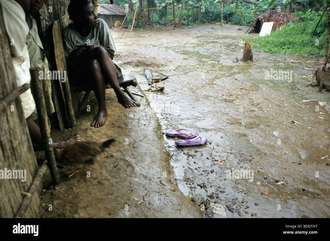 Baka pygmies Banque de photographies et d’images à haute résolution - Alamy