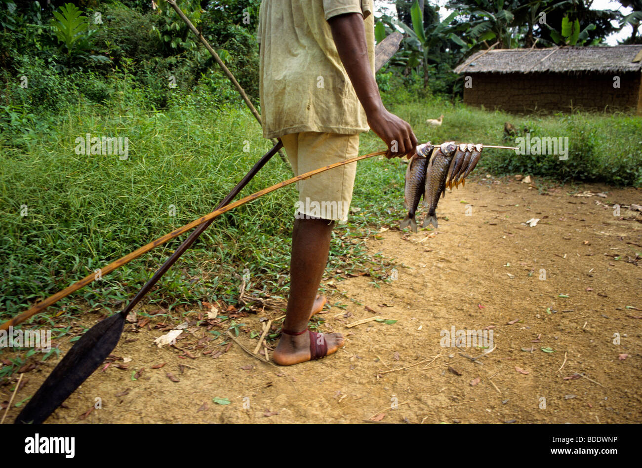Poisson sur la fin d'une ligne qui est capturé par un Pygmée Baka dans ...