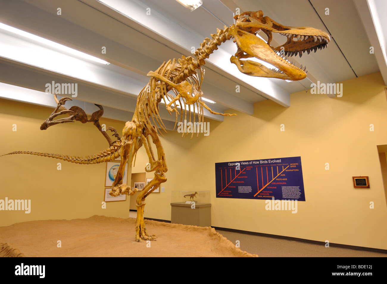 Dinosaurs museum Banque de photographies et d’images à haute résolution - Alamy