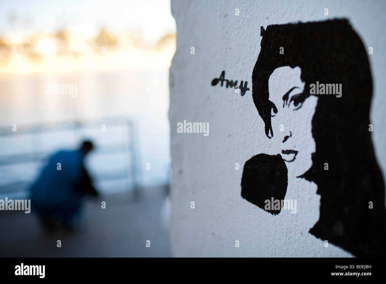 Amy winehouse Banque de photographies et d’images à haute résolution ...