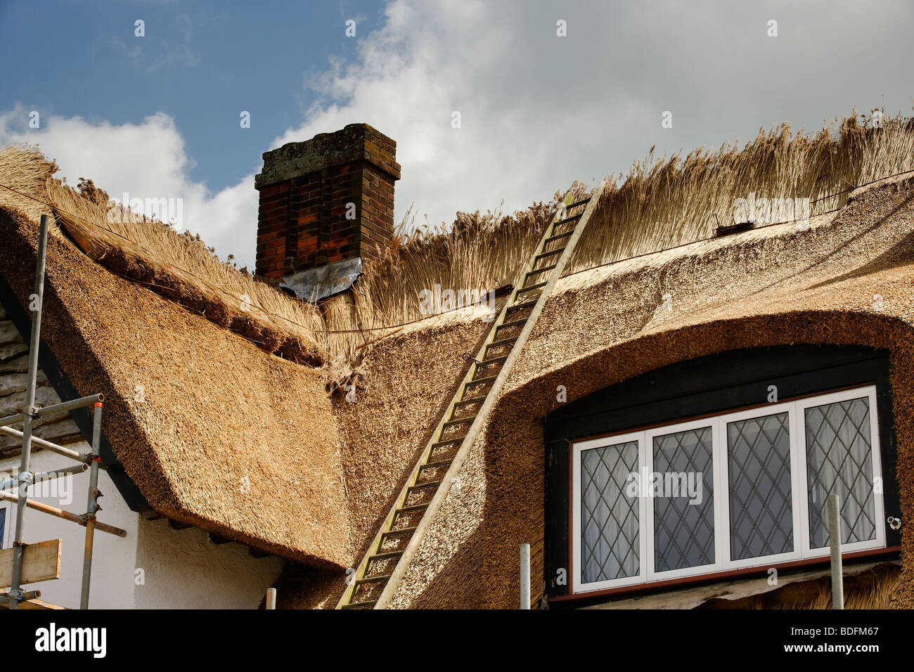 Toit en chaume avec des roseaux Banque de photographies et d’images à ...