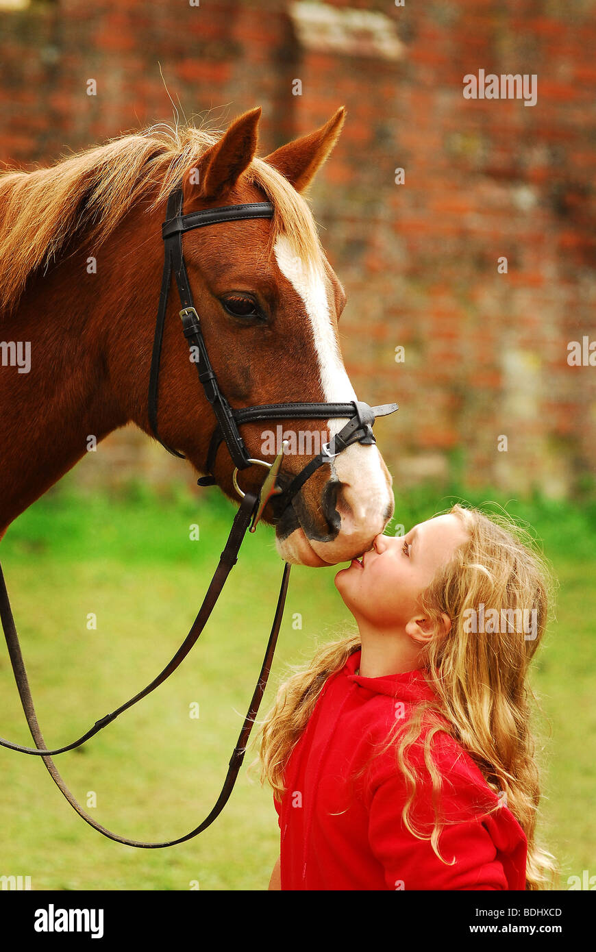 Girl kissing un cheval Photo Stock - Alamy