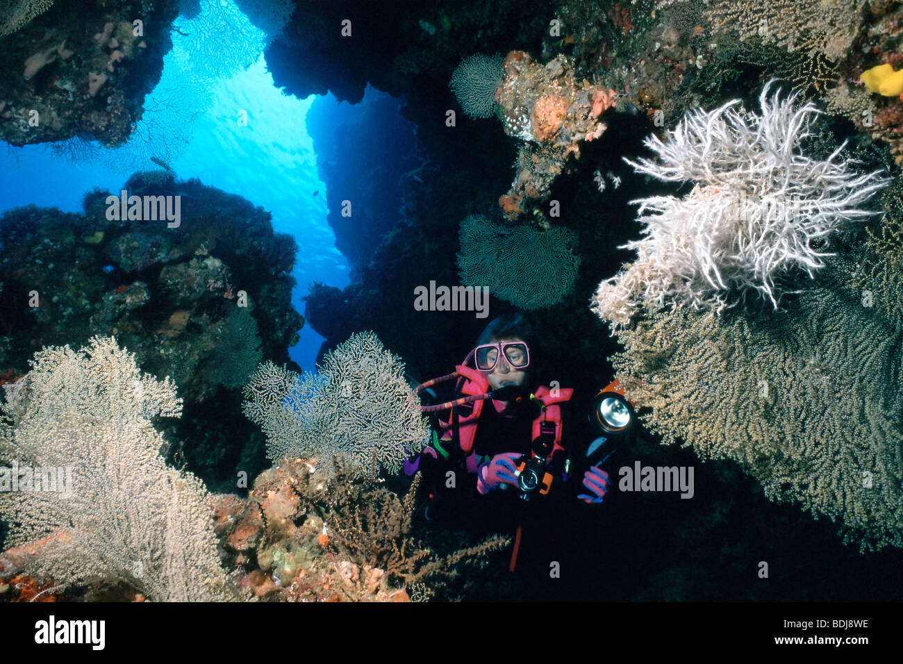 Exploration plongeur femelle grotte personnalisés, Russell (Îles ...