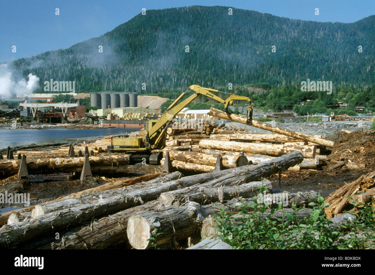 Usine De Bois Banque d'image et photos - Alamy