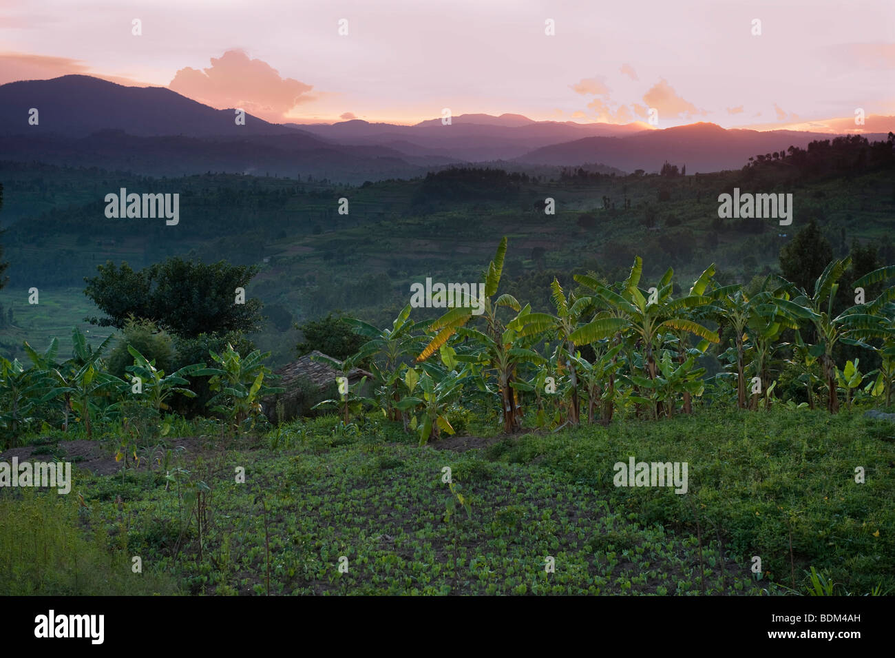 Rural rwanda Banque de photographies et d’images à haute résolution - Alamy