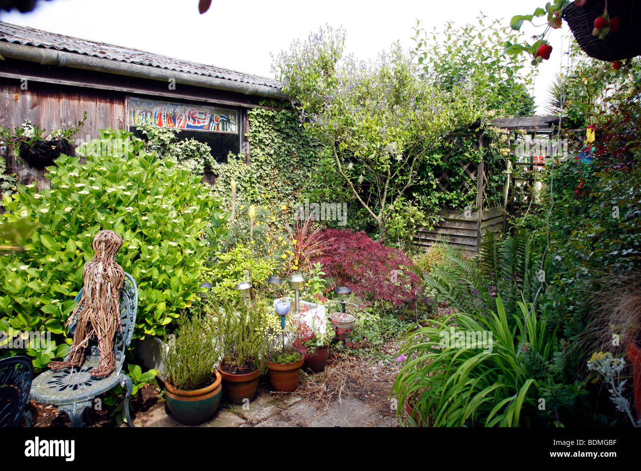 Arbustes de jardin Banque de photographies et d’images à haute ...