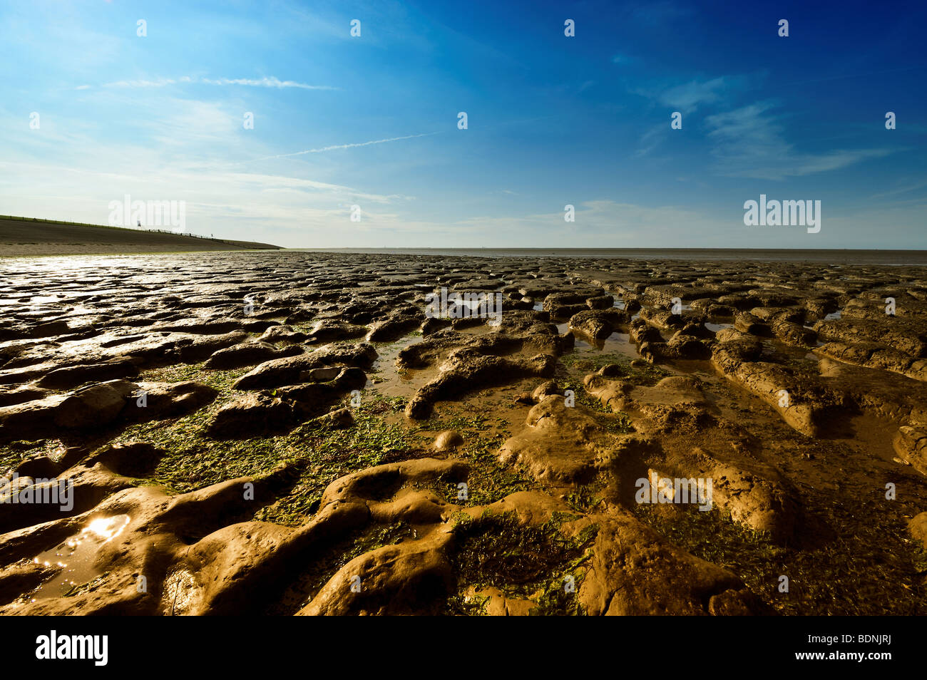 Dutch wadden sea Banque de photographies et d’images à haute résolution ...
