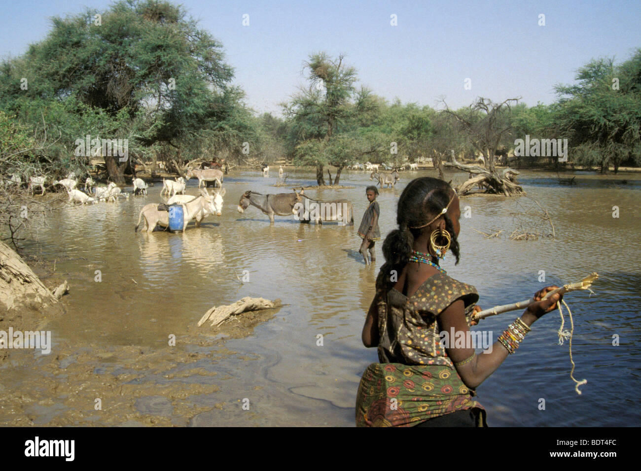Femme touareg agadez Banque de photographies et d’images à haute ...
