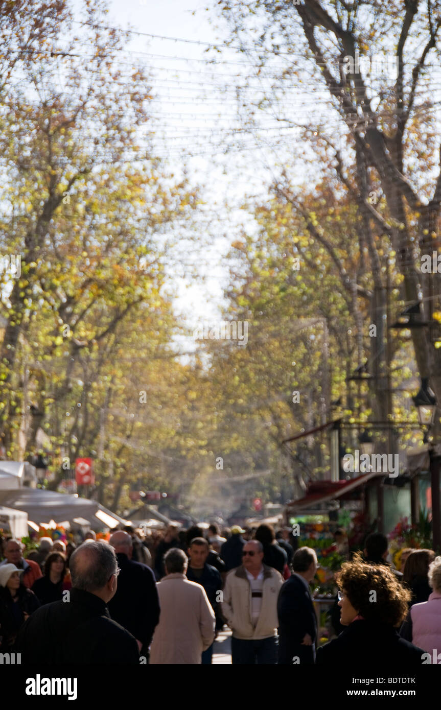 Las ramblas barcelona spain Banque de photographies et d’images à haute résolution - Alamy
