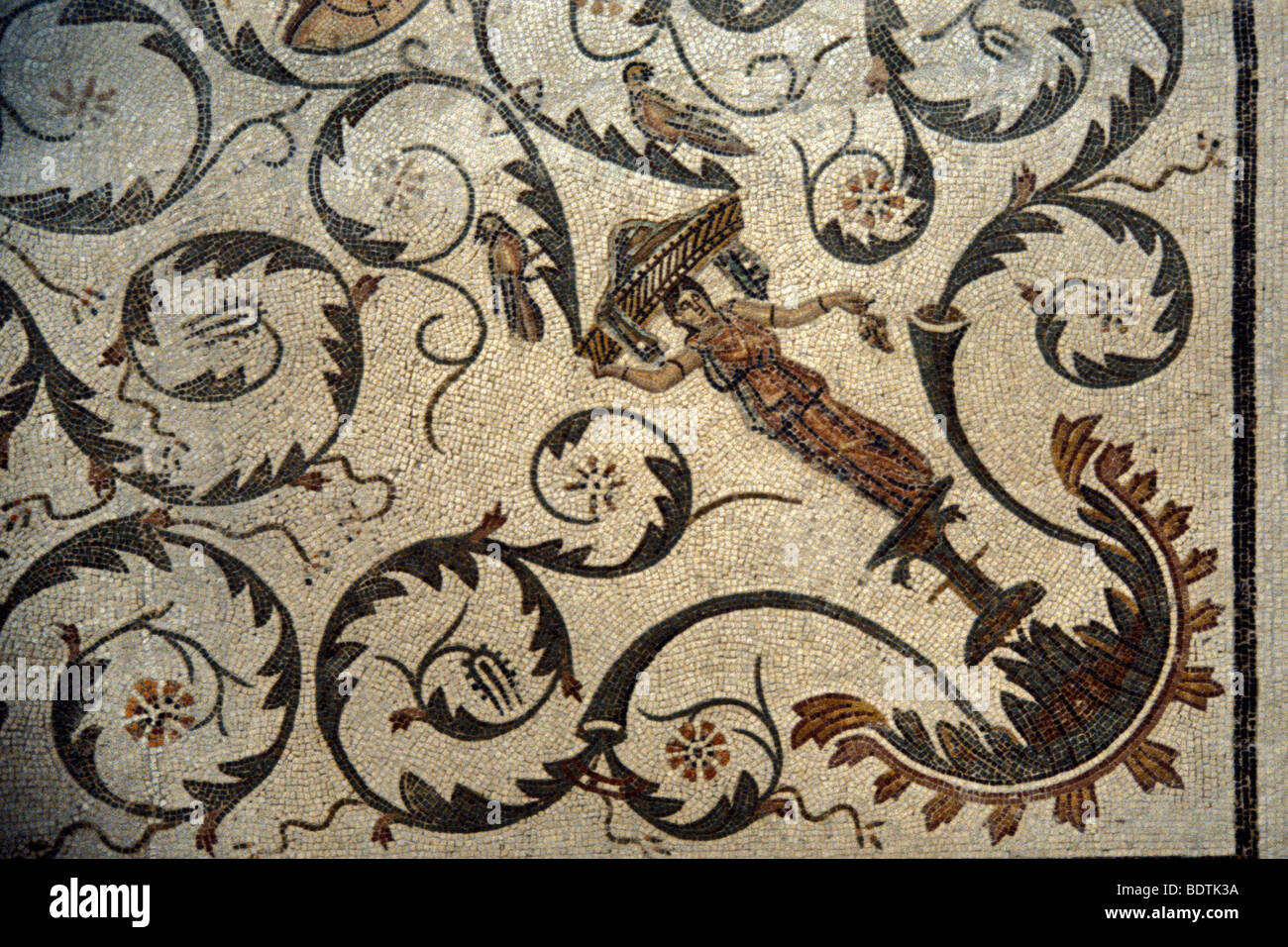 Tunisia carthage mosaics Banque de photographies et d’images à haute ...