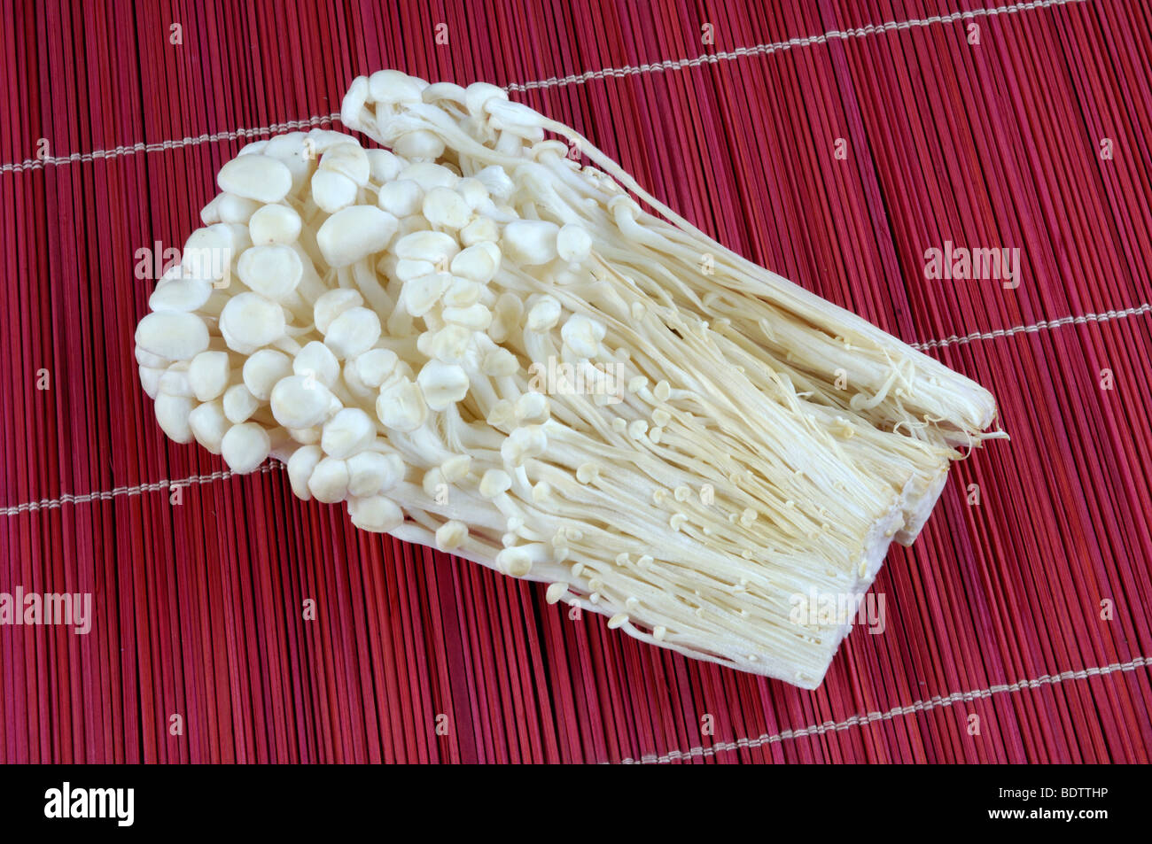 Enoki pilze Banque de photographies et d’images à haute résolution - Alamy