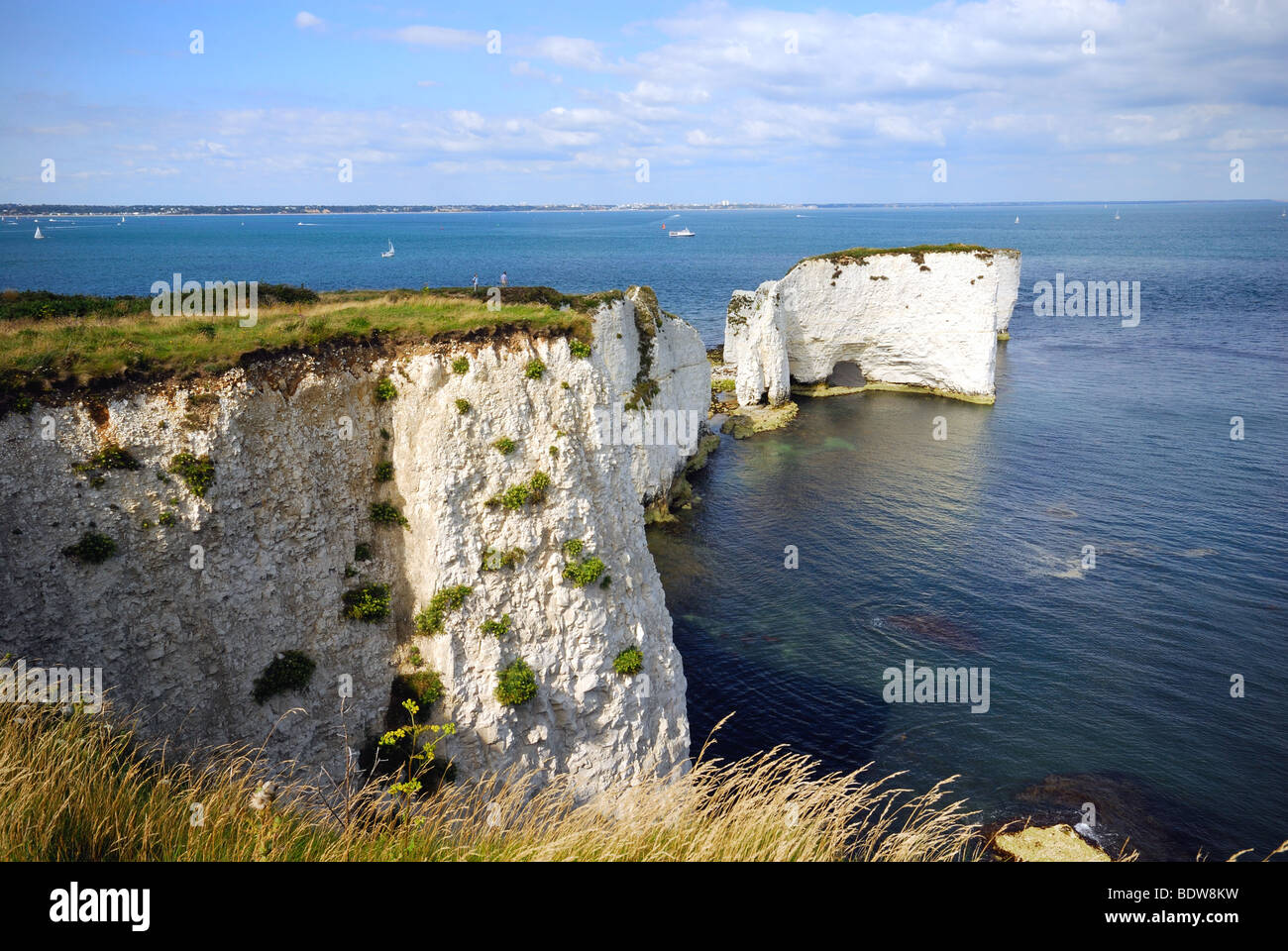 Vieilles falaises de craie harry et piles Banque de photographies et d ...