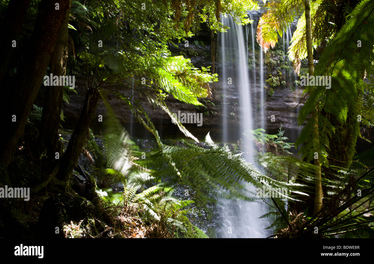 Mount field national park Banque de photographies et d’images à haute ...