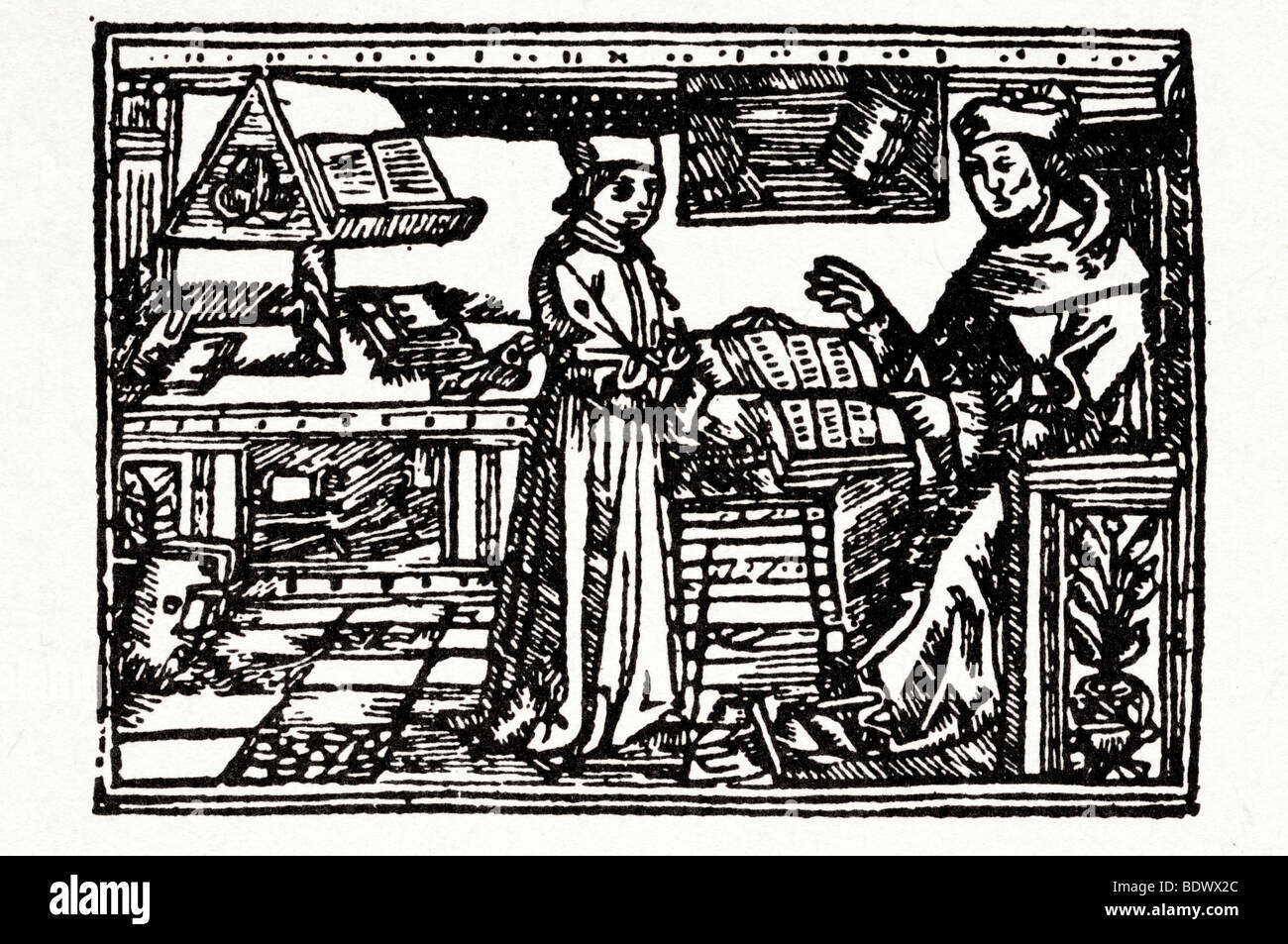 Au nez pointu Banque de photographies et d’images à haute résolution ...