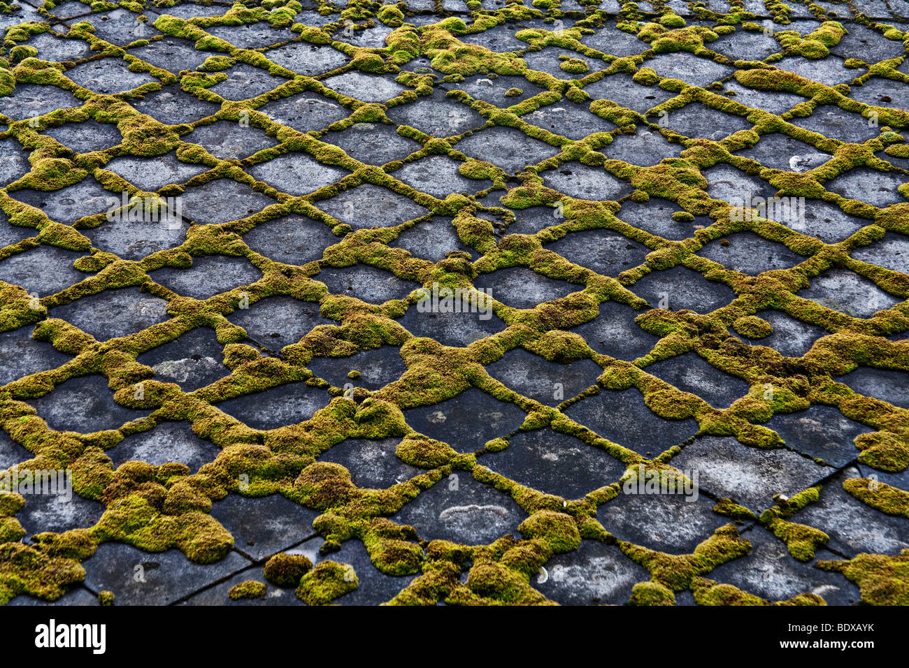 Avec des toits couverts de mousse et de mousse Banque de photographies ...
