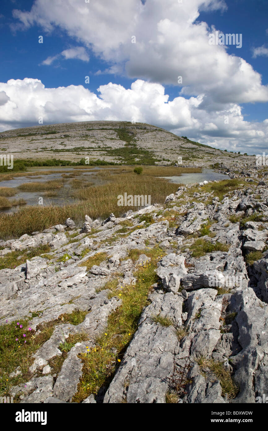 Mullagh plus Banque de photographies et d’images à haute résolution - Alamy