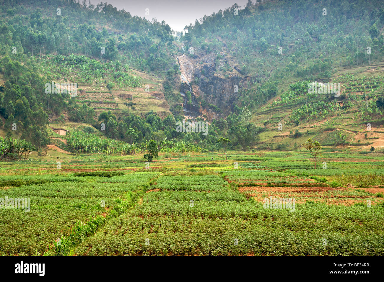 Vert rwanda Banque de photographies et d’images à haute résolution - Alamy