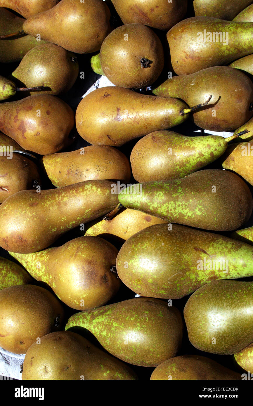 Pyrus spp Banque de photographies et d’images à haute résolution - Alamy