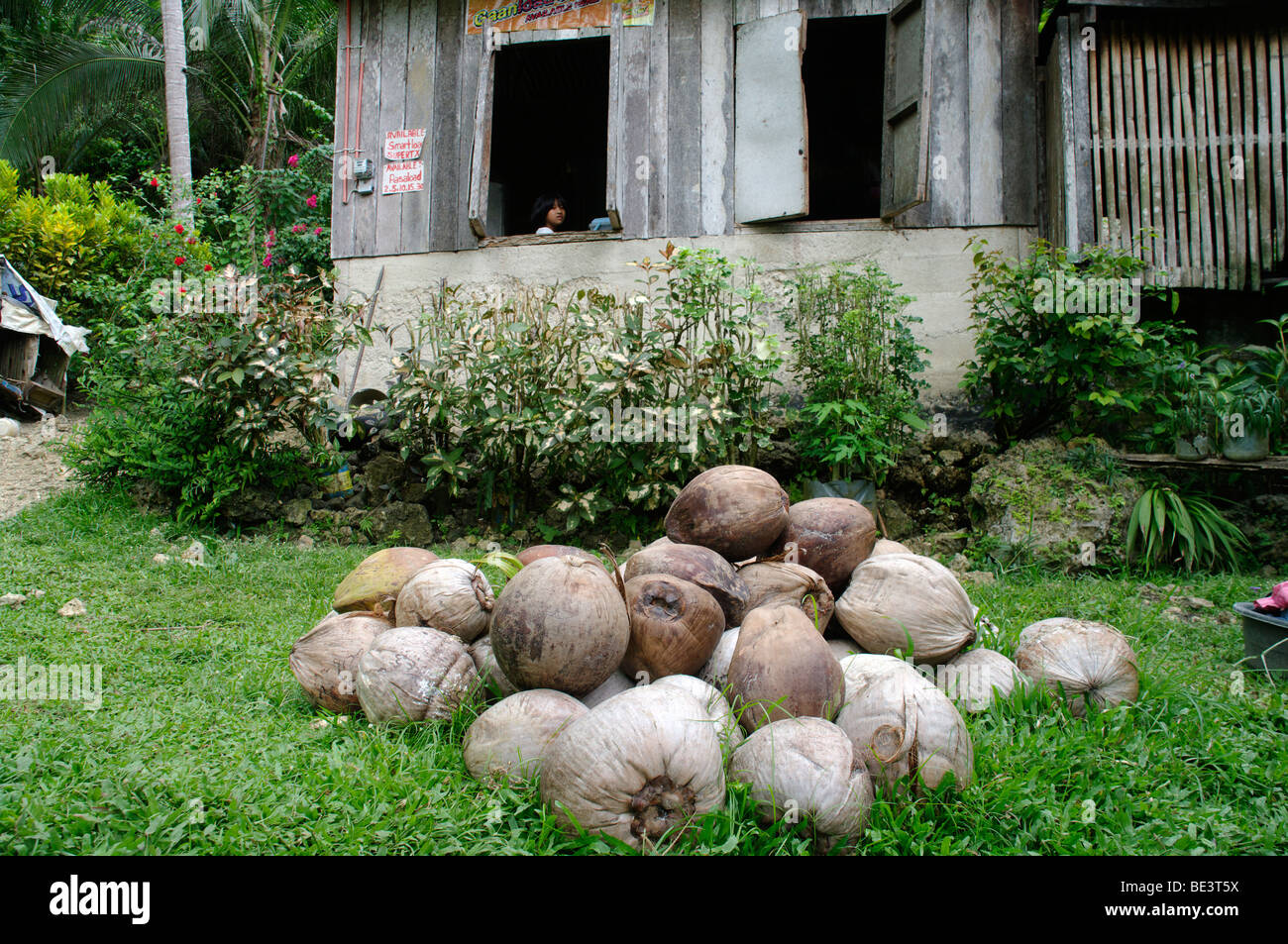 Loboc river nuts huts bohol Banque de photographies et d’images à haute résolution - Alamy