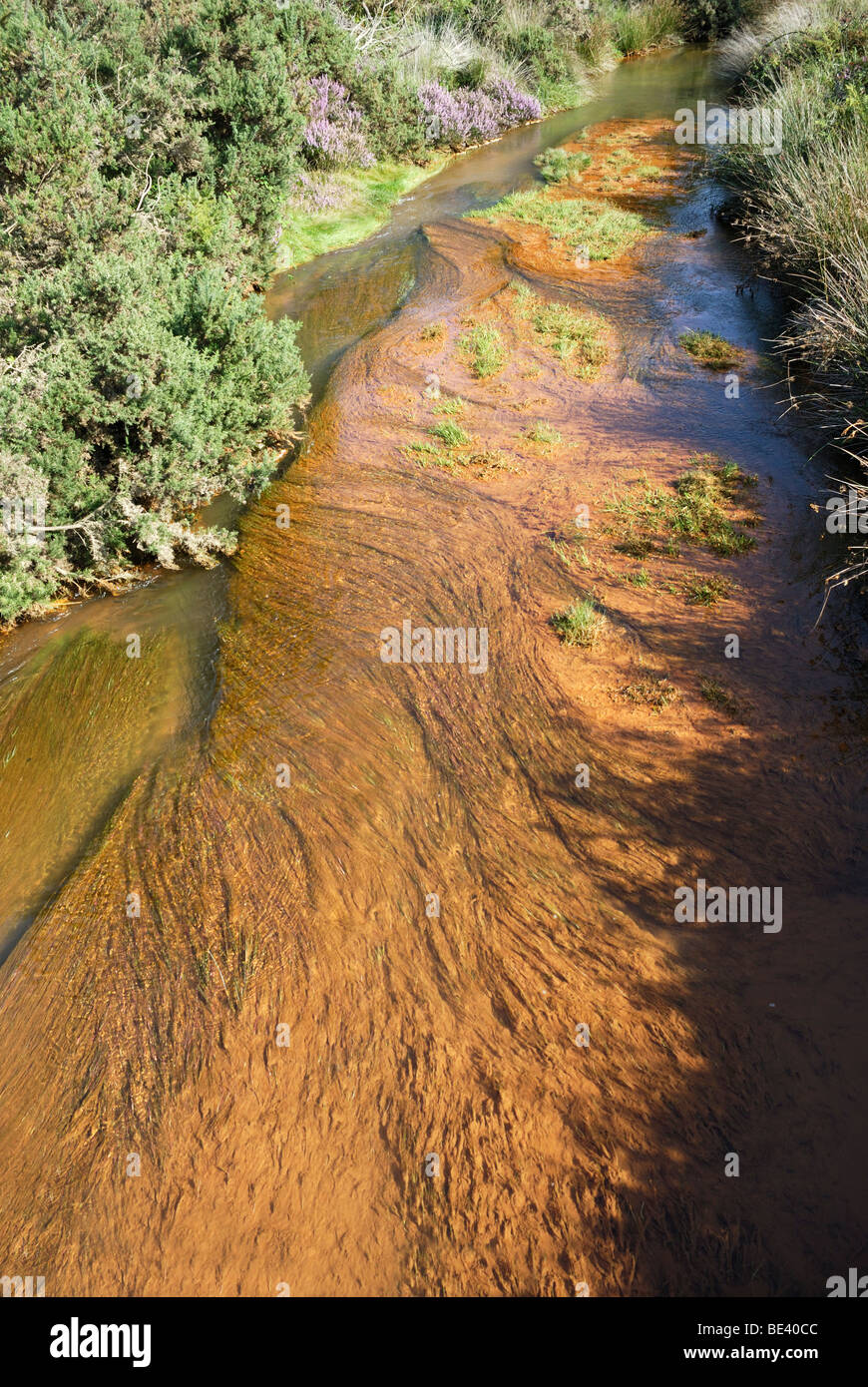 Cours d'eau pollué Banque de photographies et d’images à haute ...