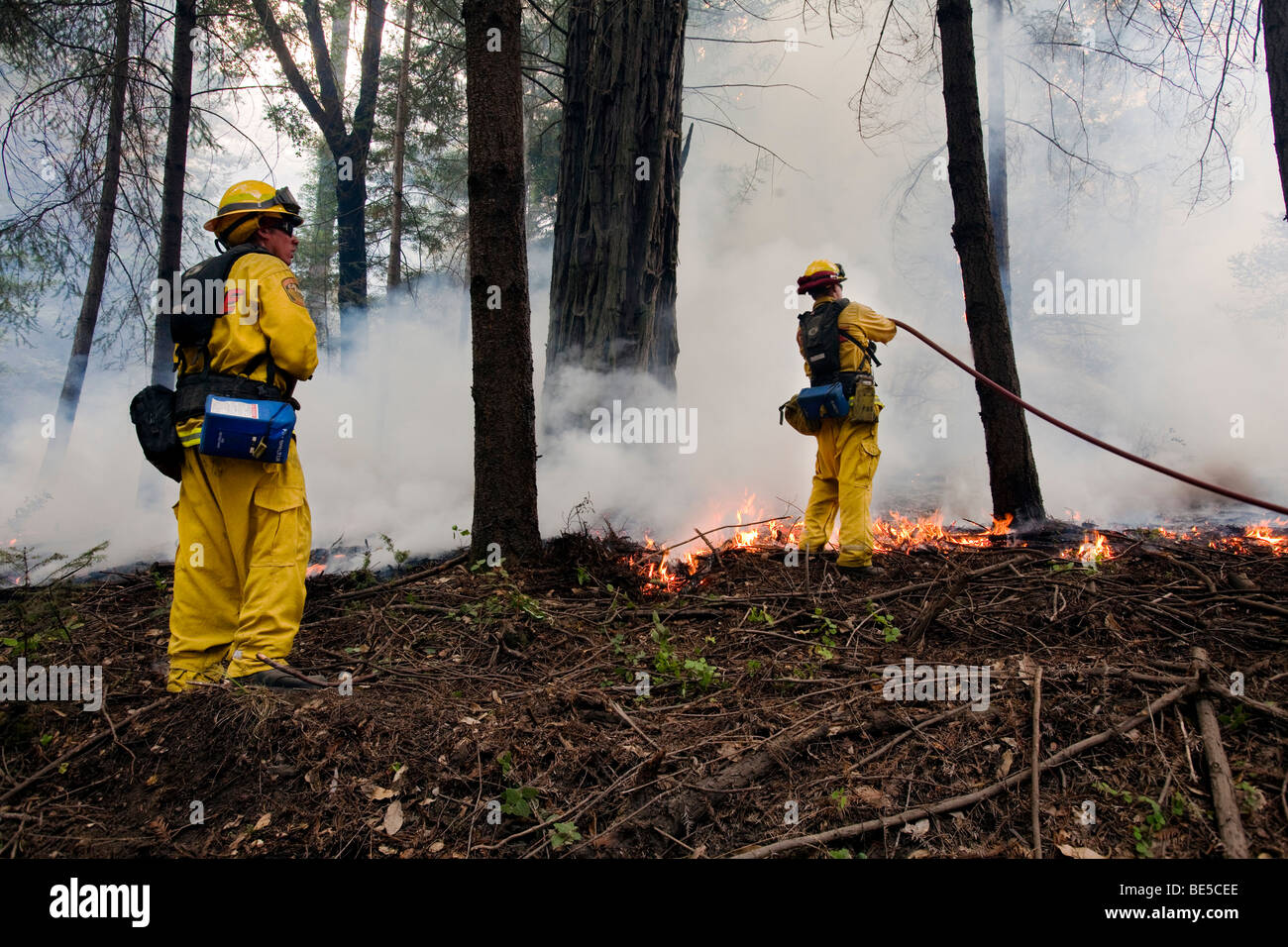 Pompiers forestiers à la California wildfire Lockheed dans Santa Cruz ...