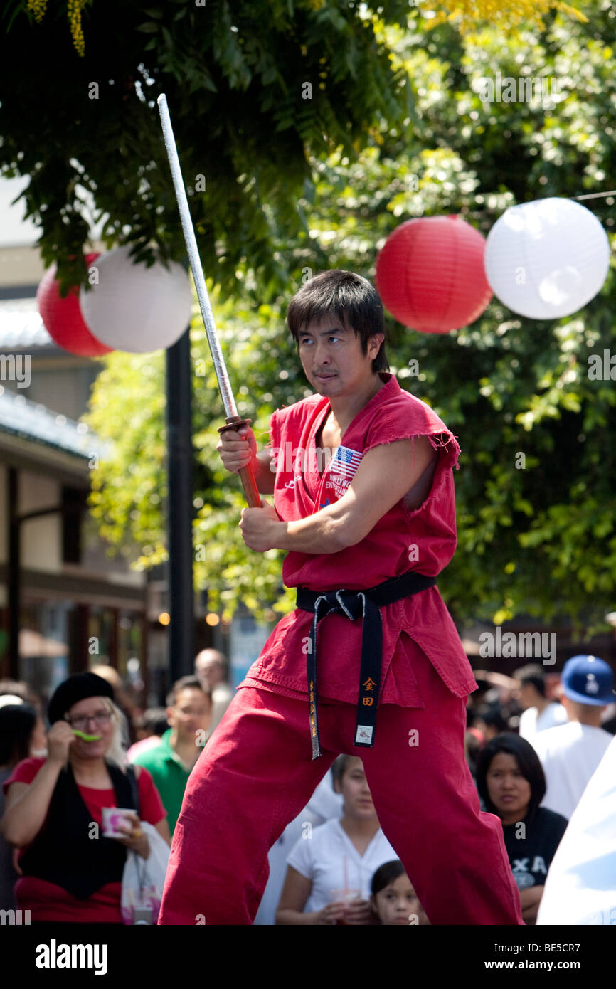 Martial arts stunt Banque de photographies et d’images à haute ...