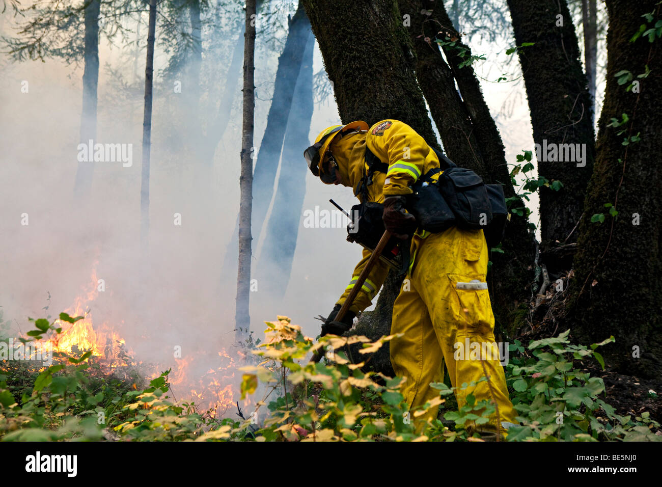 Pompiers forestiers à la California wildfire Lockheed dans Santa Cruz ...