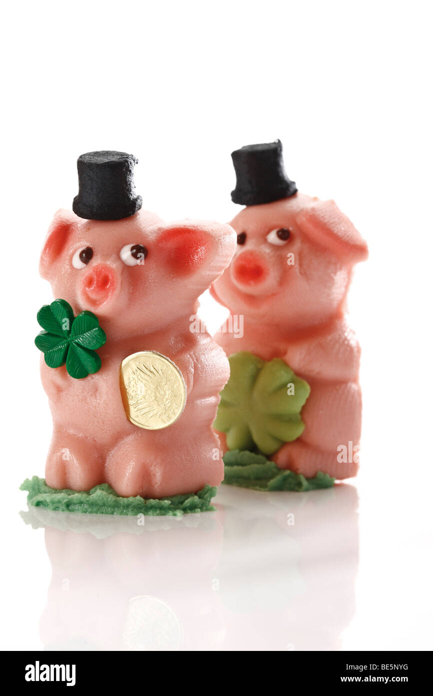 Deux cochons en train de manger Banque d'images détourées - Alamy