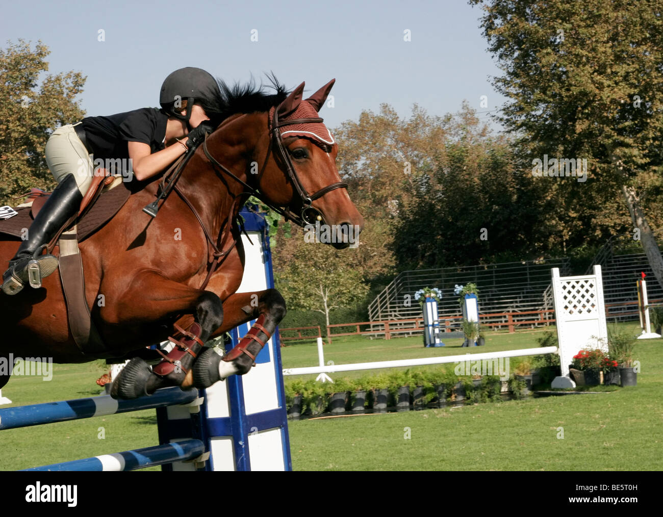Saut d'obstacle cheval Banque de photographies et d’images à haute ...