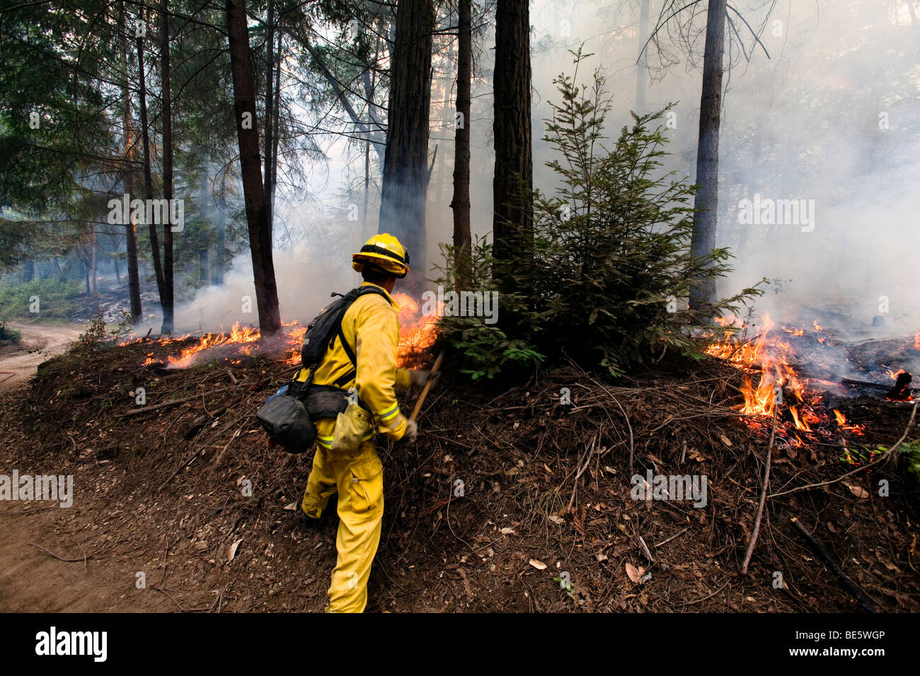 Pompiers forestiers à la California wildfire Lockheed dans Santa Cruz ...