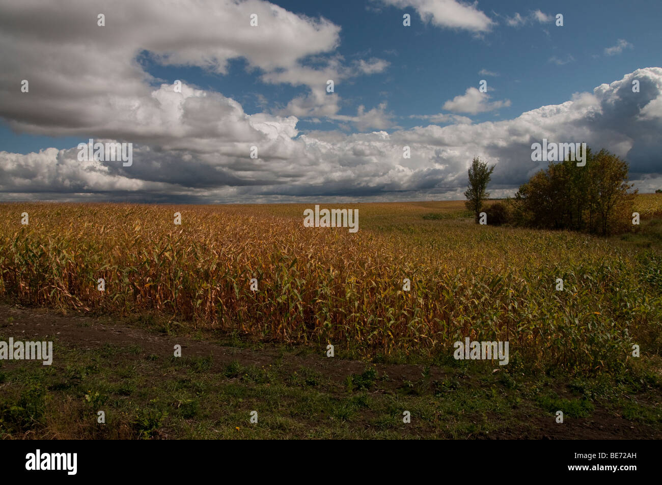 Le vaste domaine Banque de photographies et d’images à haute résolution ...