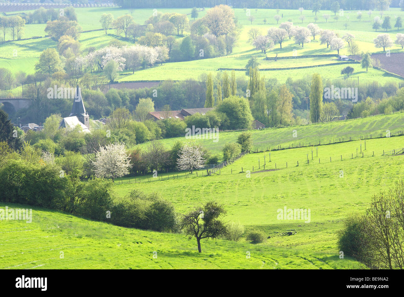 Haies de bocage et arbres Banque de photographies et d’images à haute ...