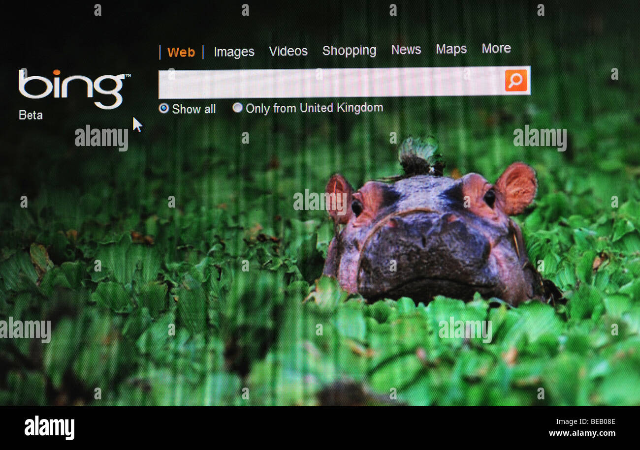 Logo Microsoft Bing Banque d'image et photos - Alamy