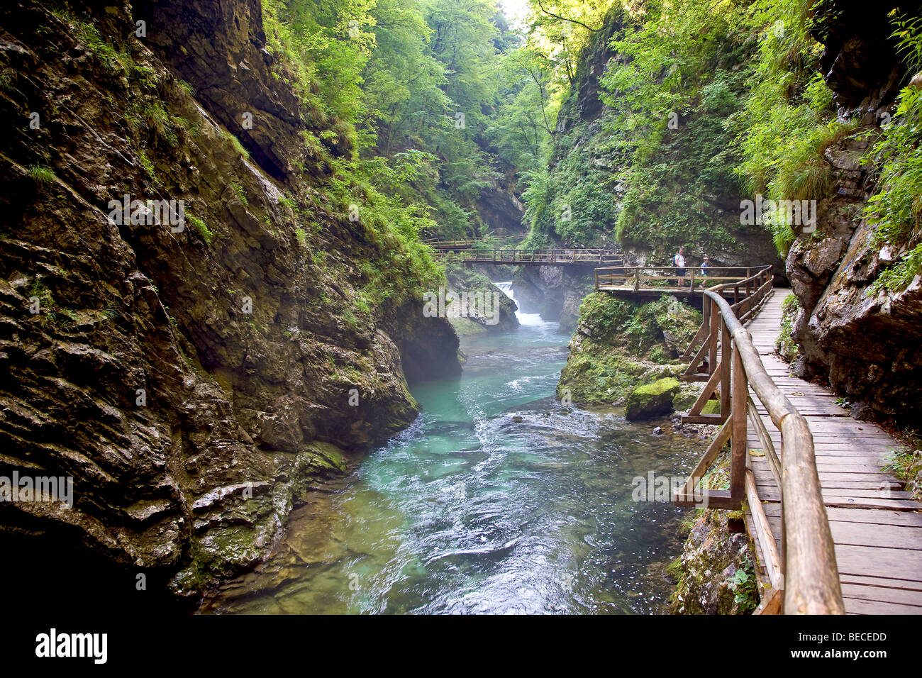 Les Gorges de Vintgar Parc National Triglav près de la ville de Bled en ...