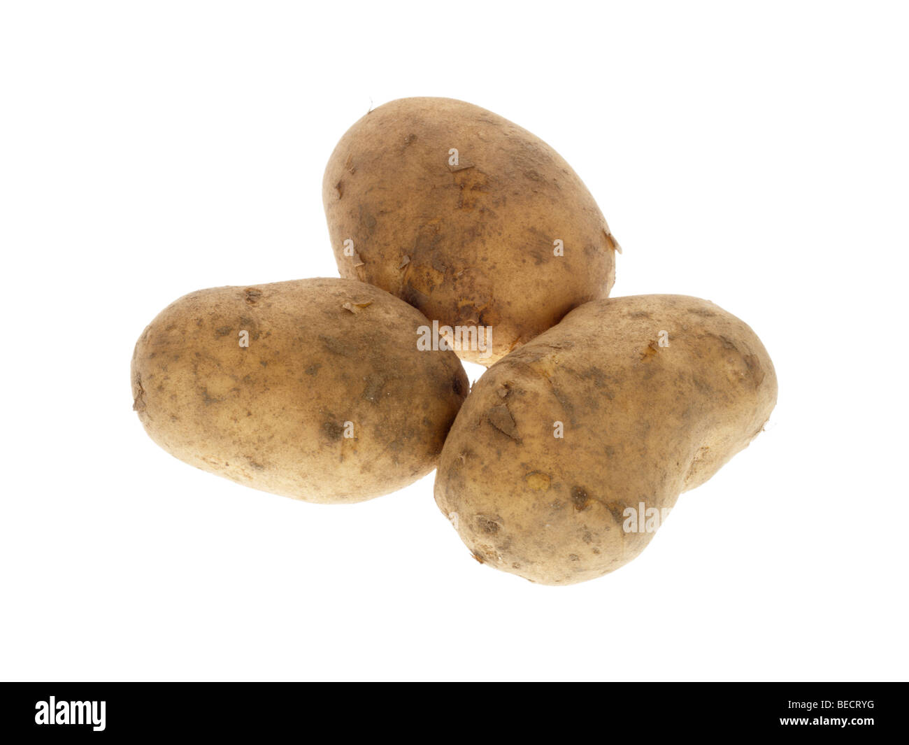 Maris piper potato Banque de photographies et d’images à haute ...